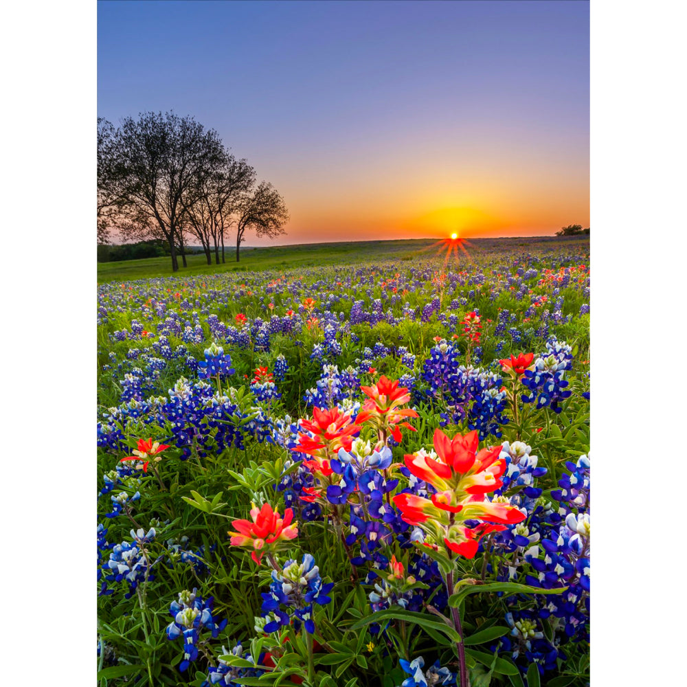 2019 Bluebonnet Shop Hop - Panel | 1BBSH-2 *** – Austin Sewing