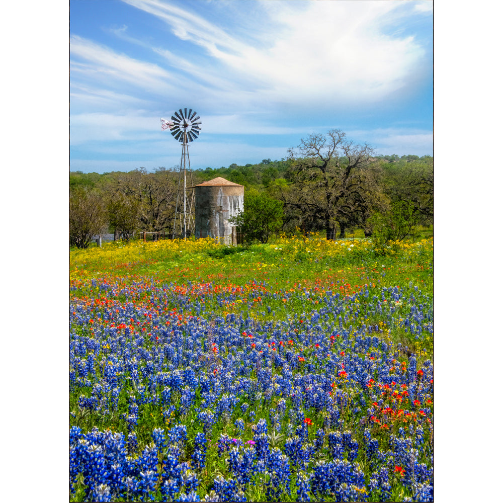 2025 Bluebonnet Shop Hop - Panel | 125BBS-1*** – Austin Sewing