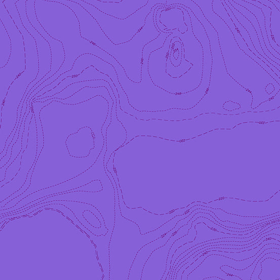 Wildflowers - Topography Map Aster | A556P1 – Austin Sewing